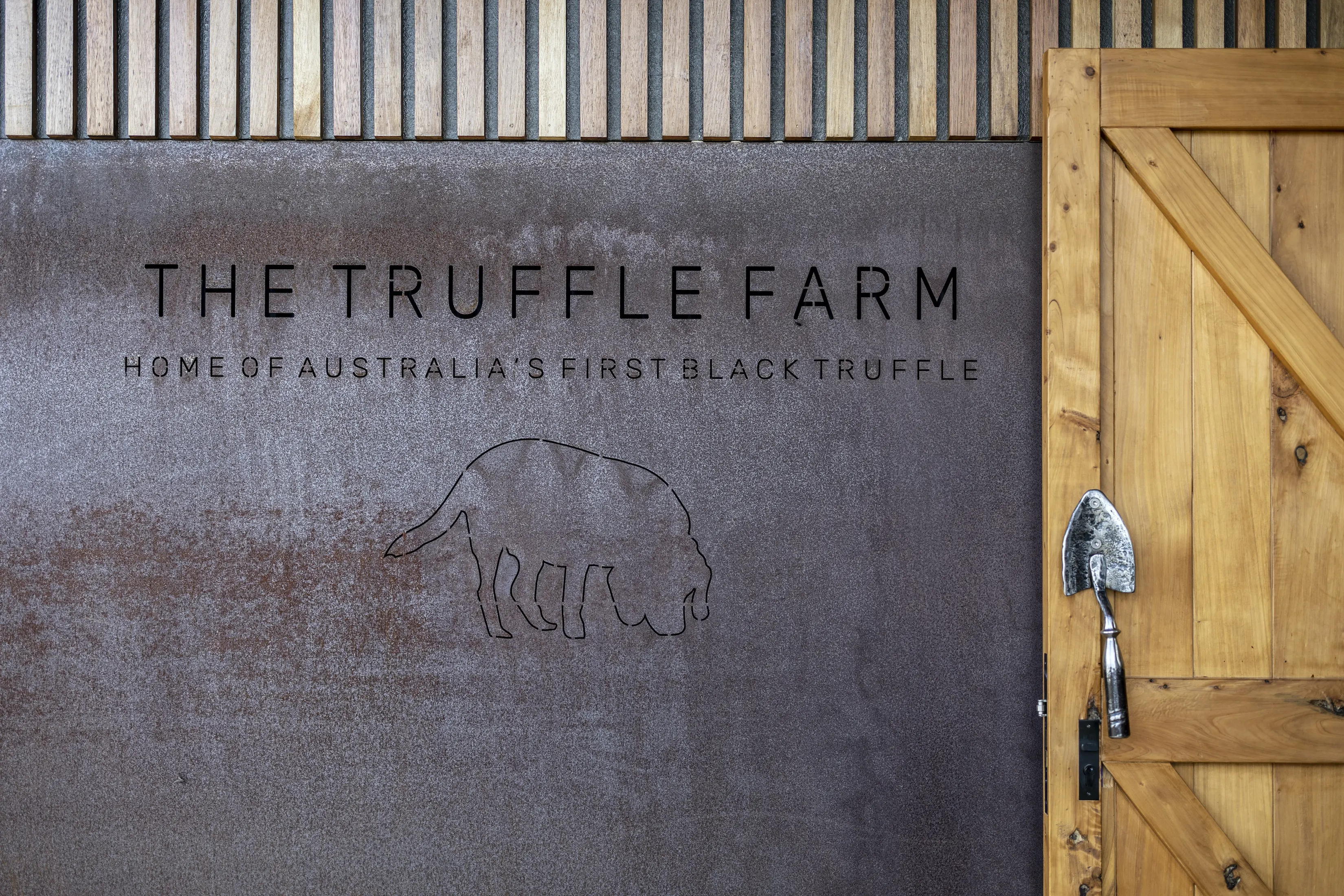 Truffles and truffle hunting | Unordinary Stories | Discover Tasmania
