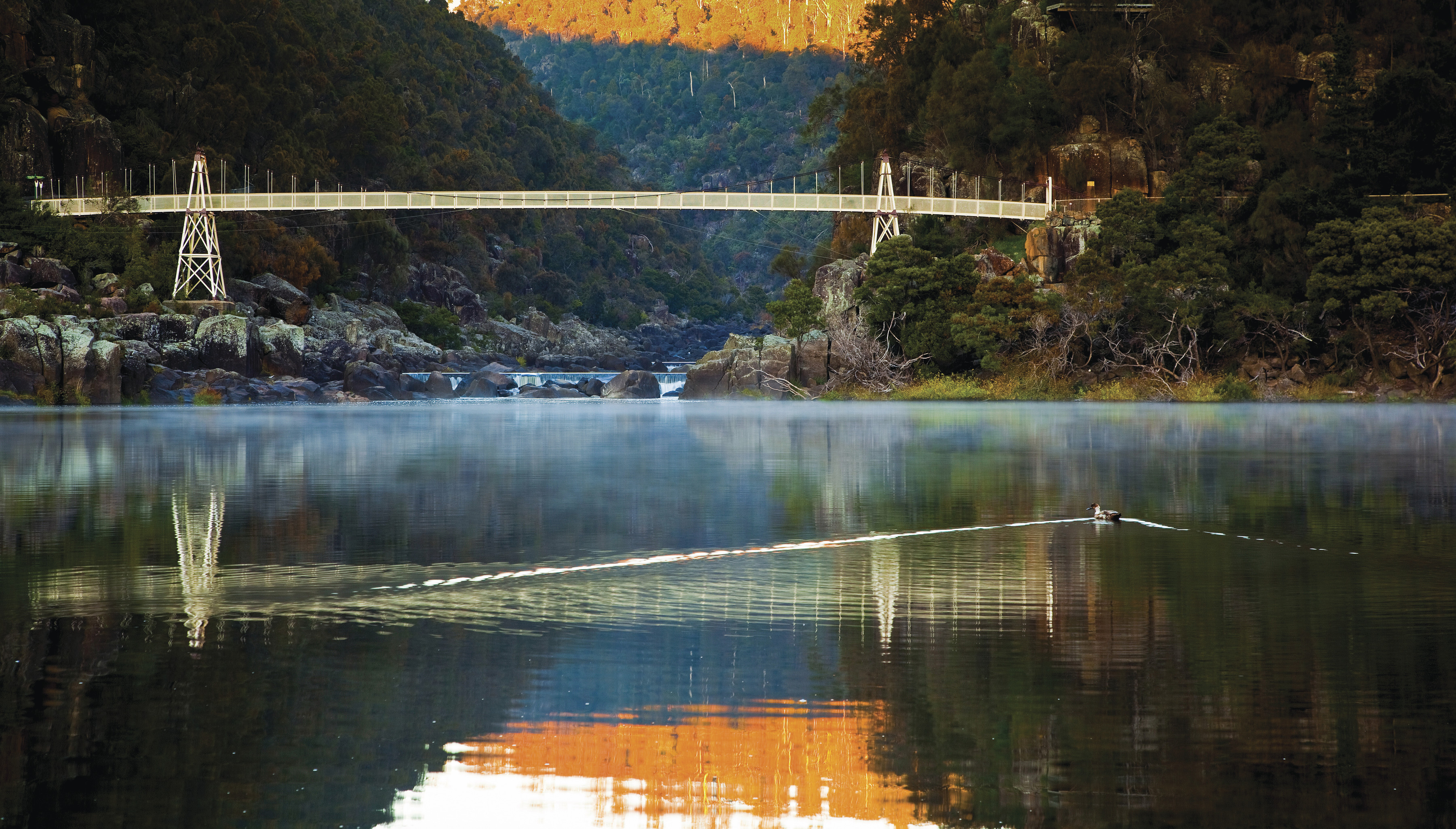 Cataract Gorge - Discover Tasmania