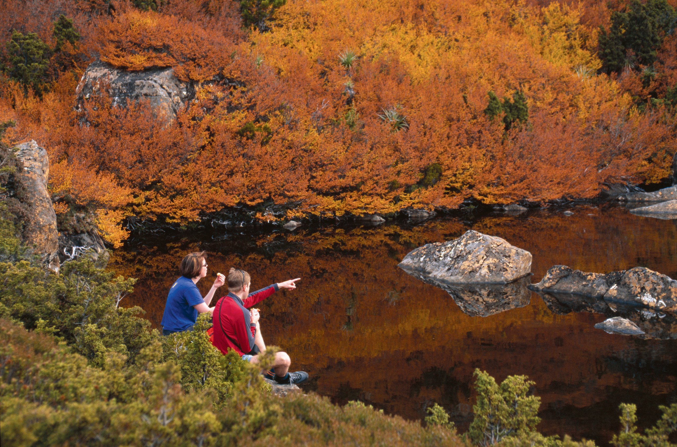 Mount Field National Park | Discover Tasmania