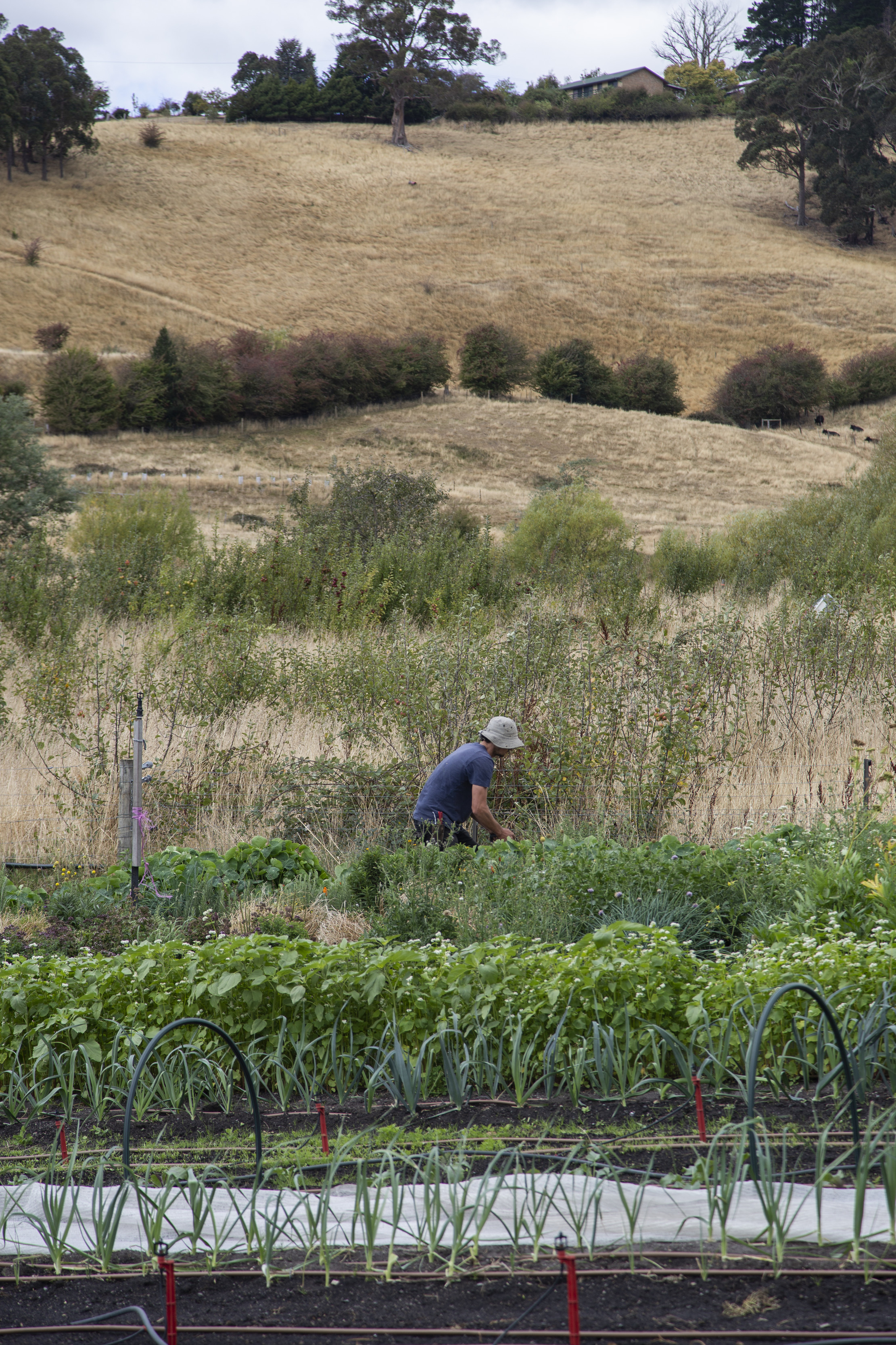 Classes - Discover Tasmania