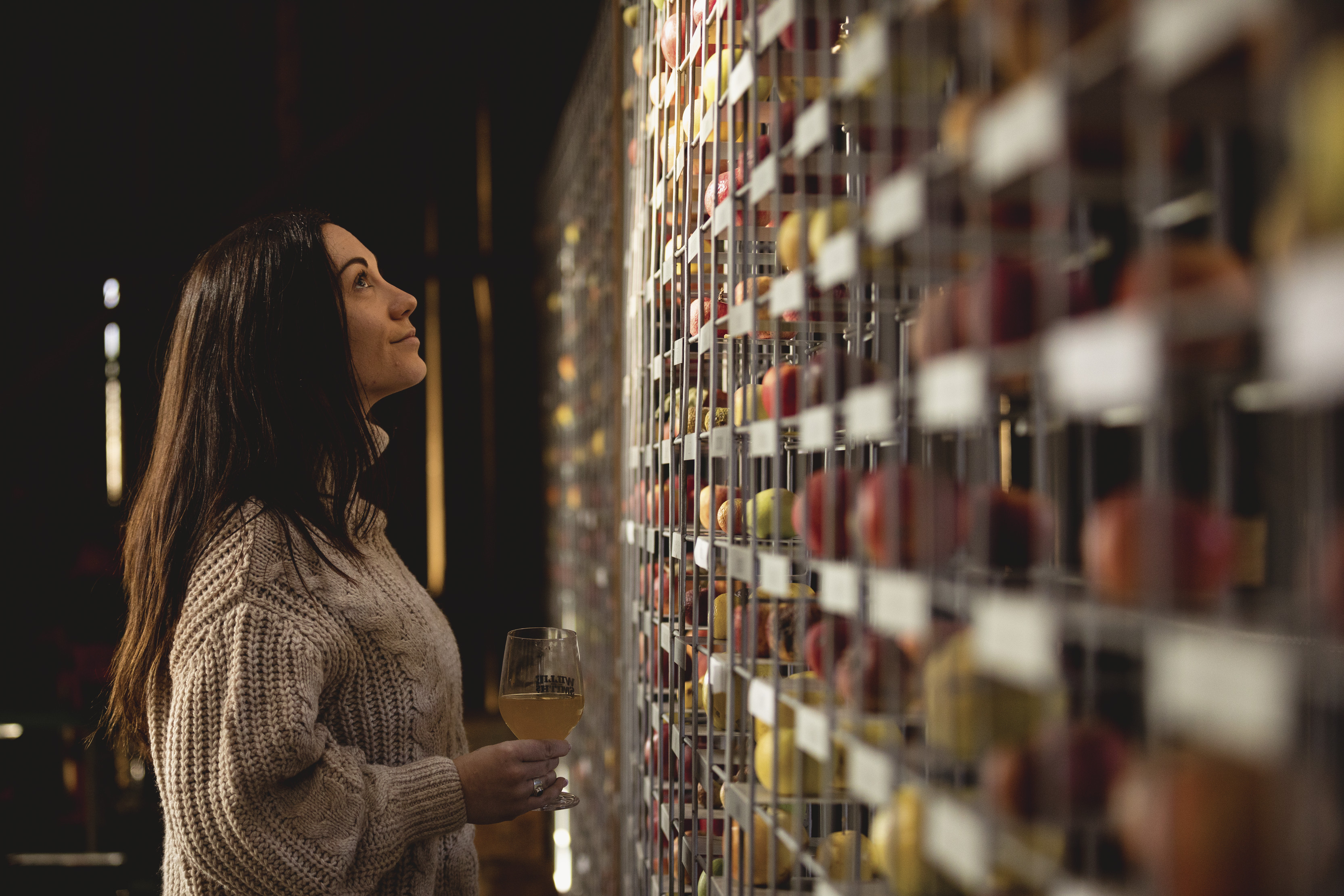 Top day trips from Hobart - Discover Tasmania