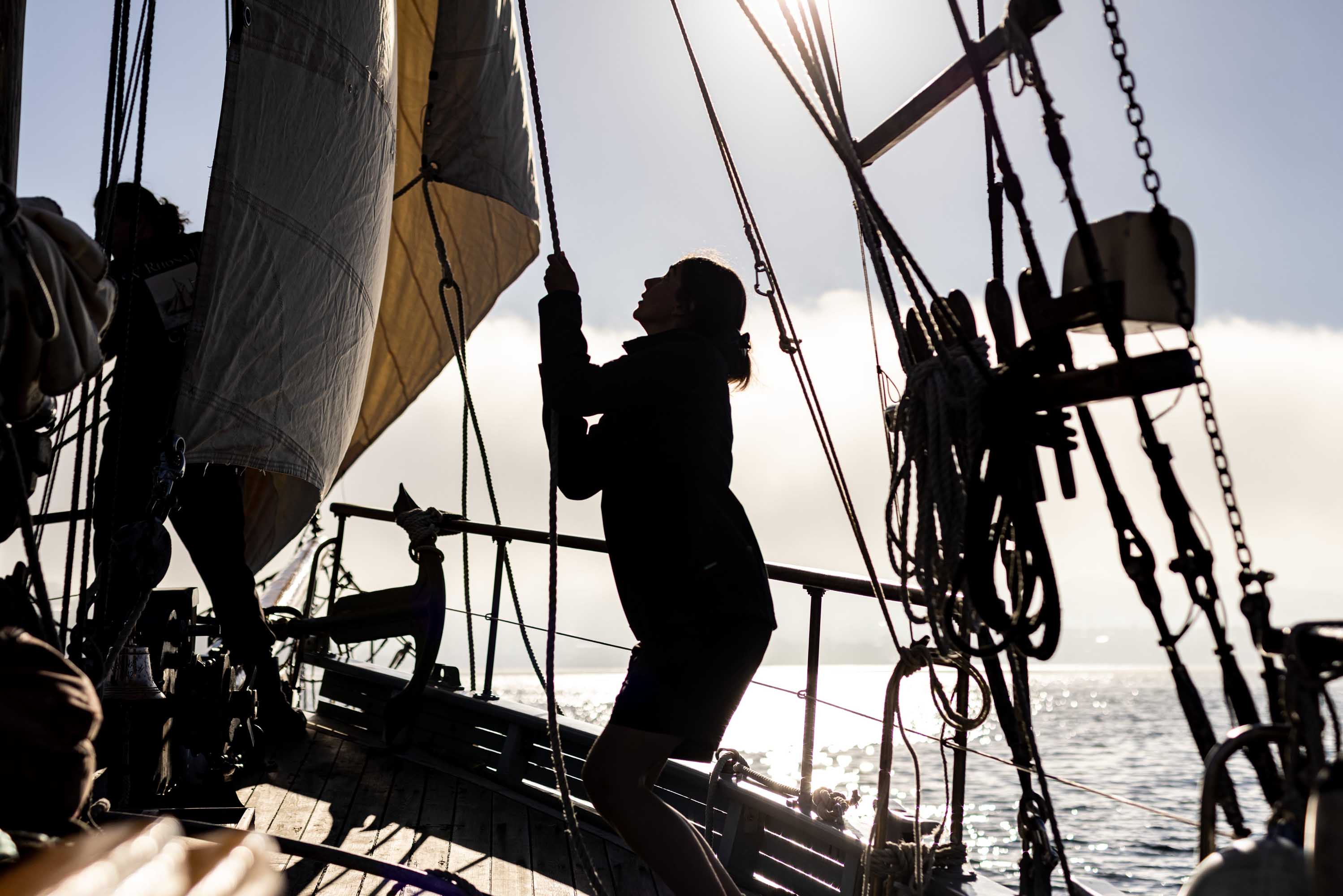 Cruises, sailing and water tours | Discover Tasmania